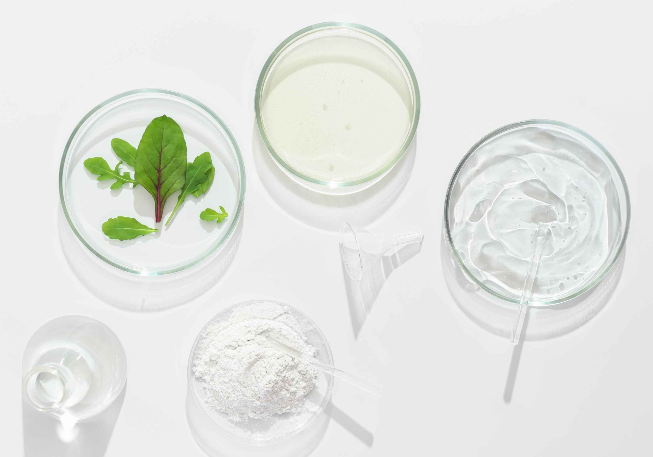 Herbal Extraction Methods Explained: Liquid vs Powder Extracts